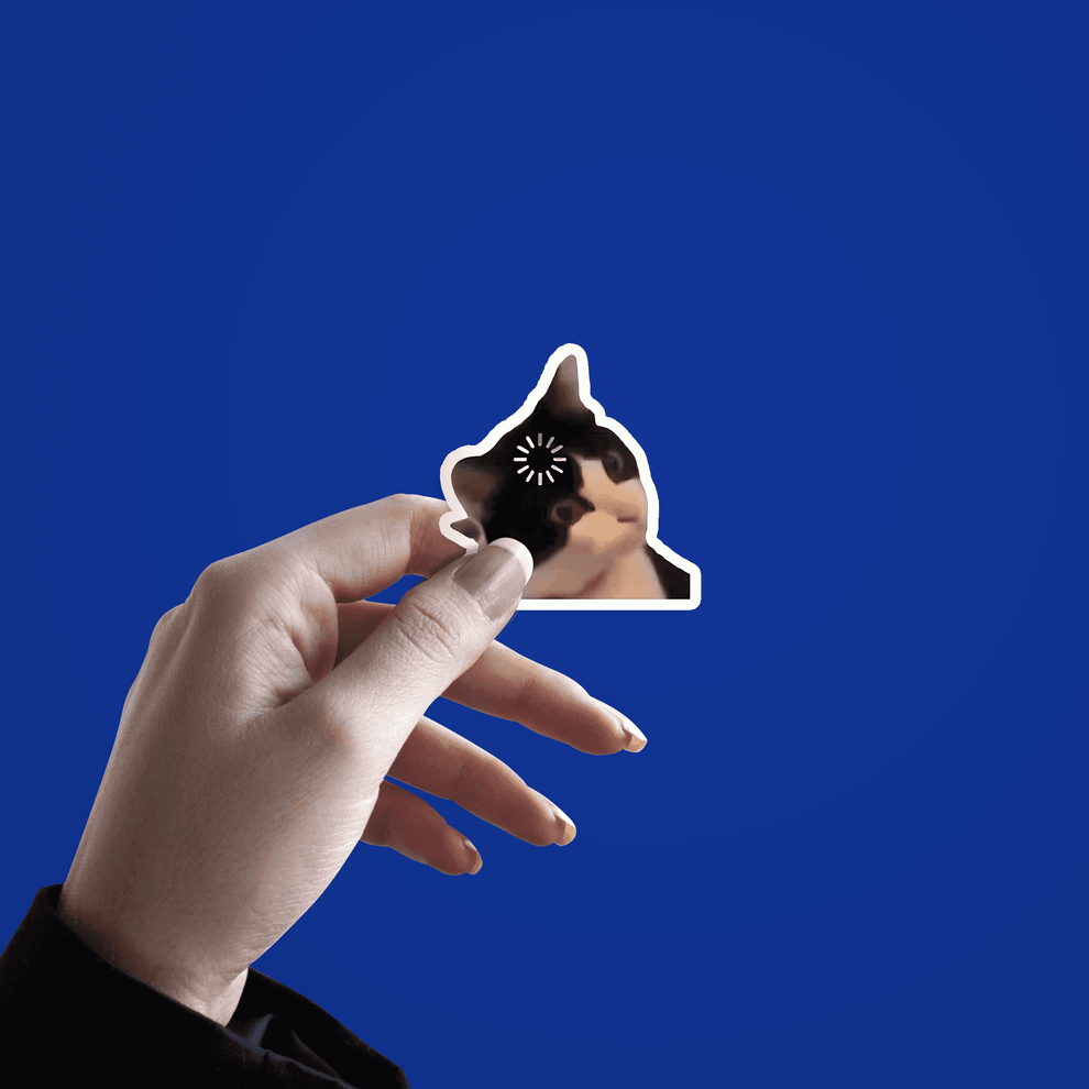 Confused Cat meme Sticker – sticckiz.com